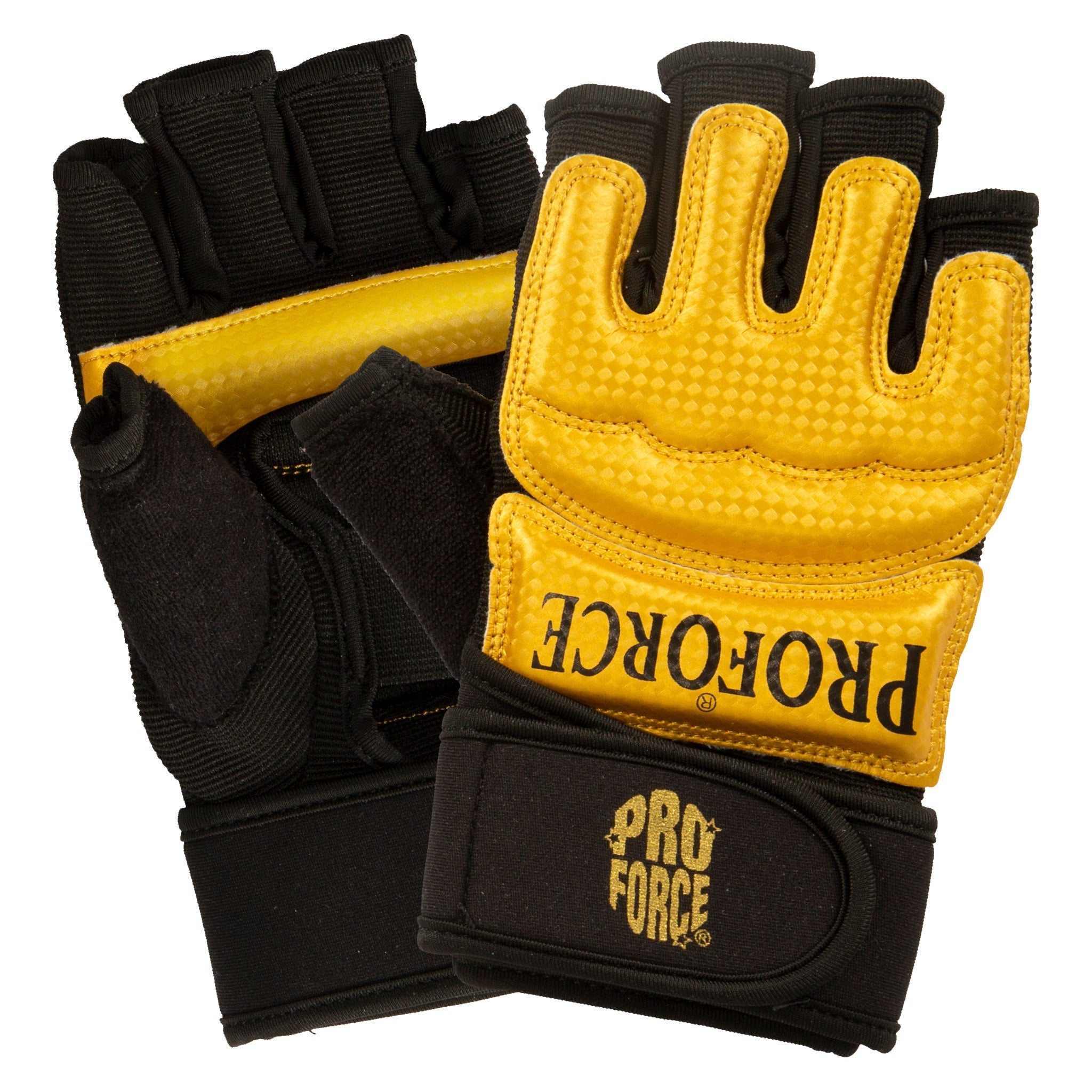 ProForce II Taekwondo TKD Gloves – Martial Arts Armory